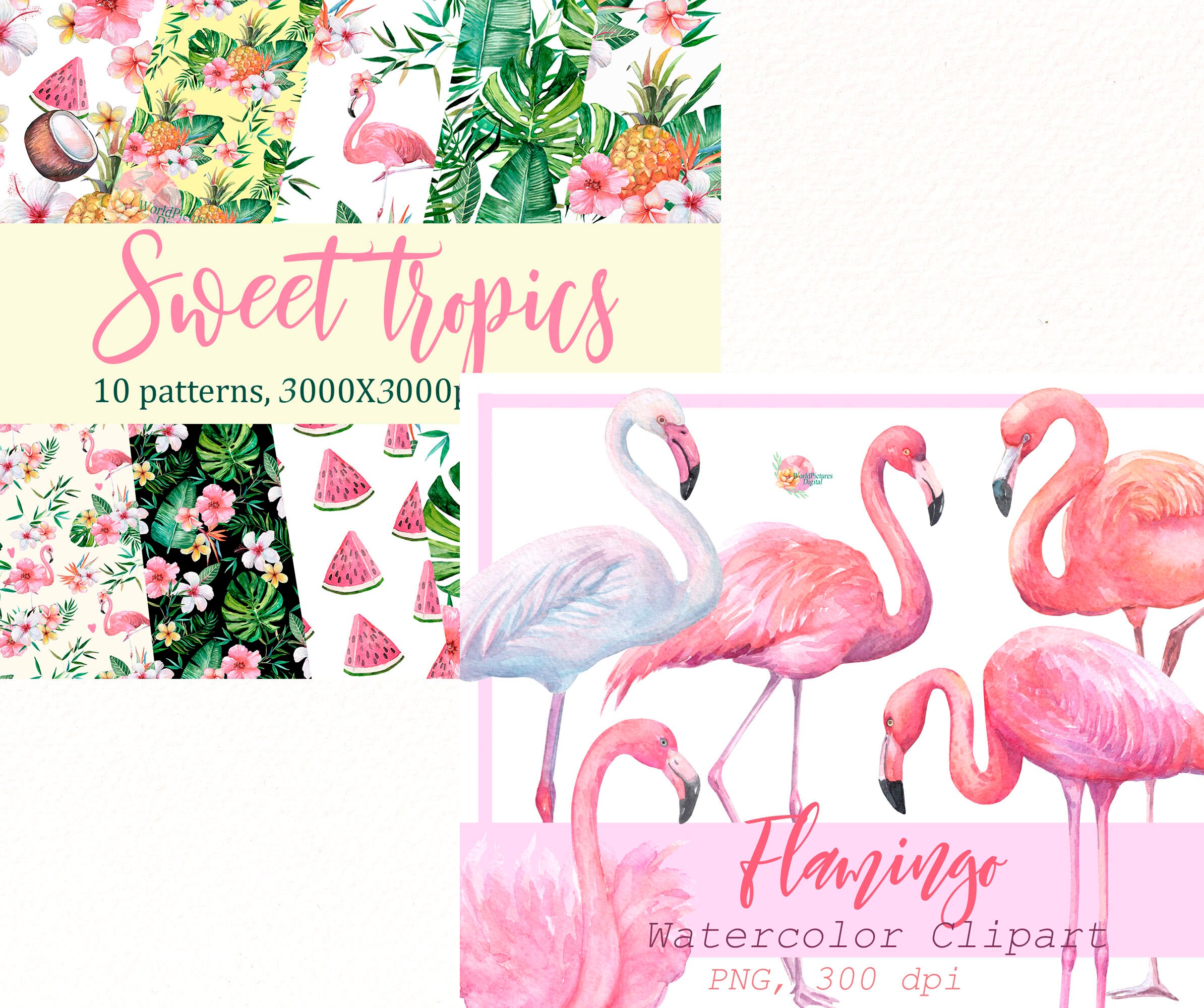 Watercolor Tropical Clipart Bundle: Flamingo, Pineapple, Flowers (PNG ...
