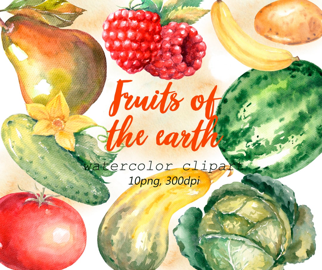 Watercolor Fruits and Vegetables Clipart, Thanksgiving Floral Elements ...