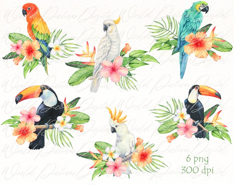 Watercolor Tropical Bird Clipart: Exotic Parrot, Toucan, Flamingo ...