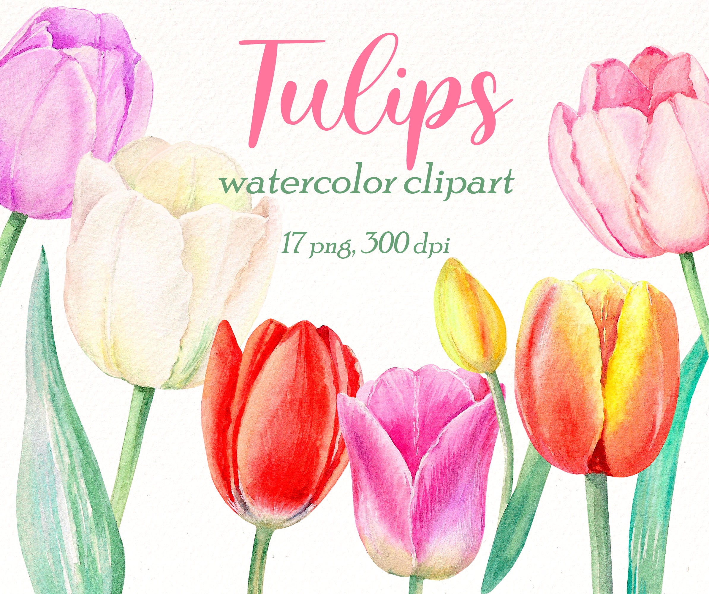 Watercolor Tulips Clipart: Spring Flower PNG Elements (digital Download ...