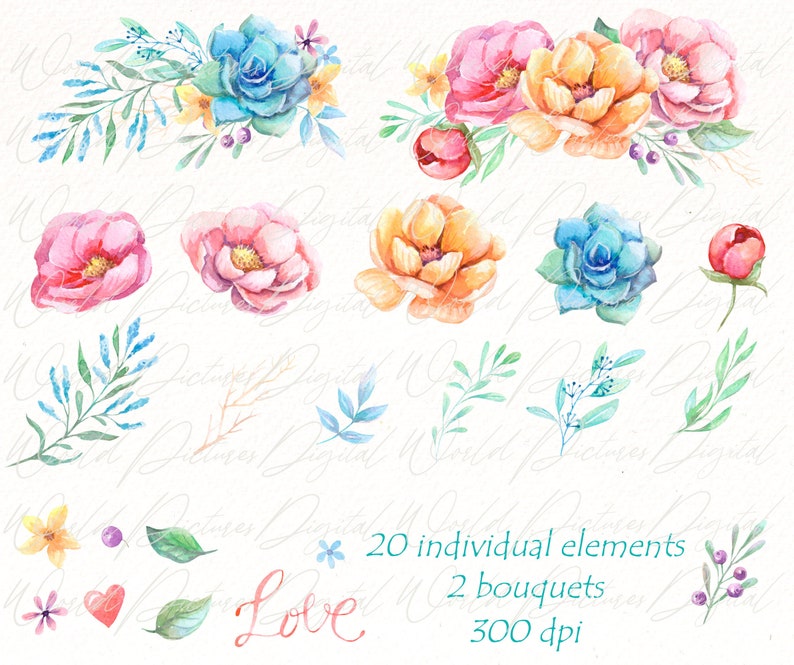 Watercolor Peonies Clipart, Succulent Png, Floral Clip Art, Greenery ...