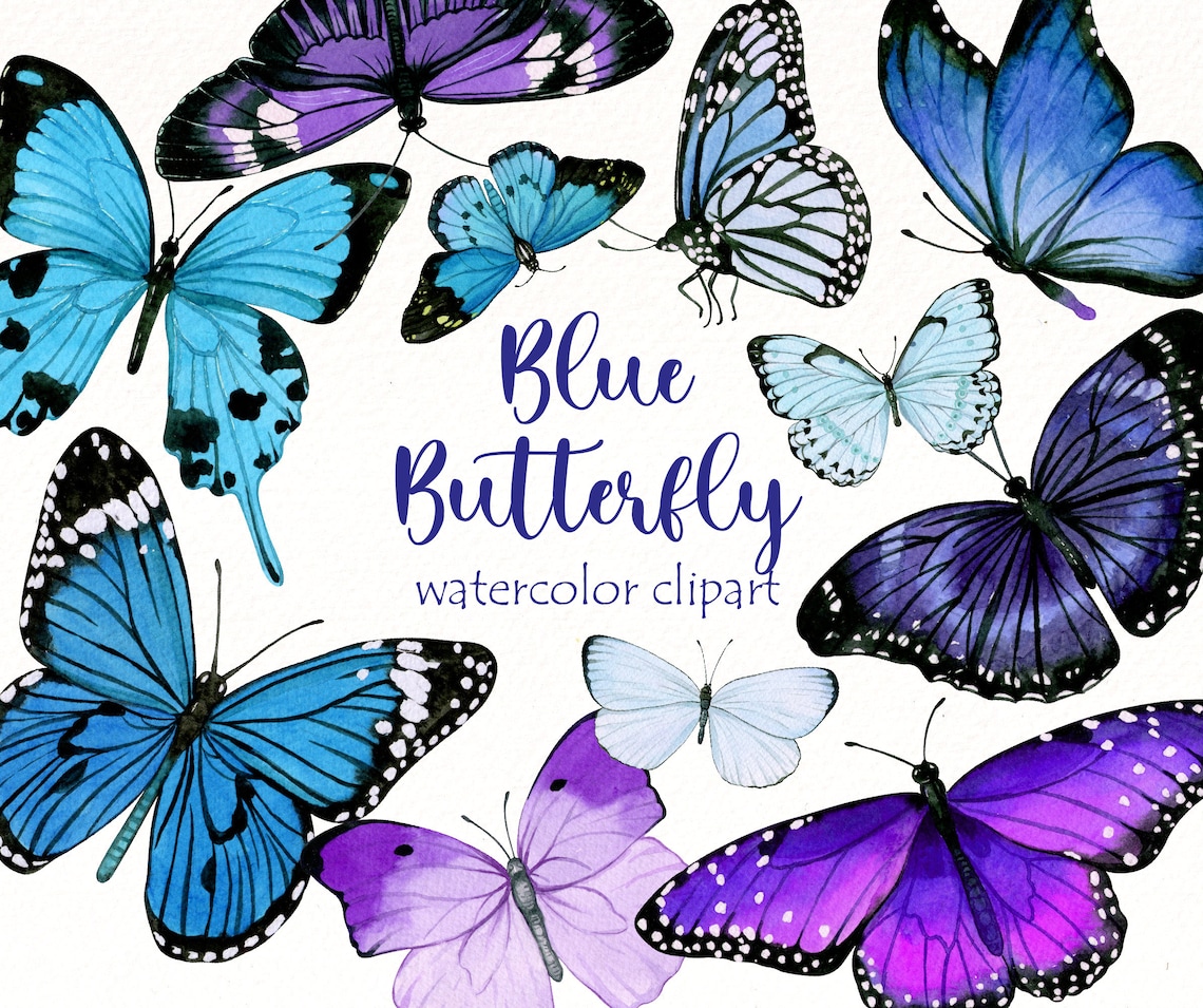 Butterfly Watercolor Clipart Blue Butterfly PNG Clip Art - Etsy