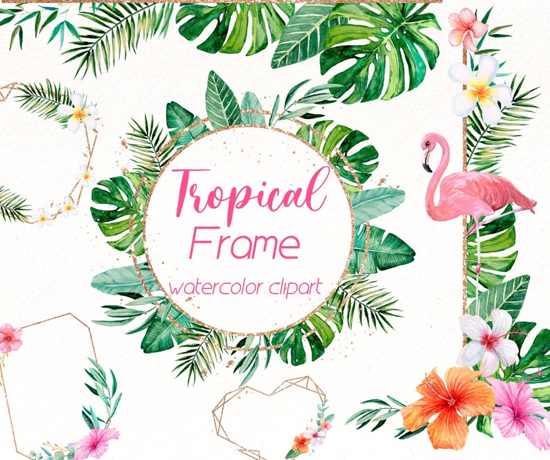 Tropical Wreath Watercolor Clipart , Tropic Frame Png , Kawaii Clip Art ...