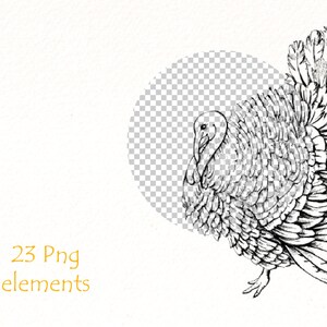 Thanksgiving Turkey Clipart: Fall Food Line Art (digital Download) - Etsy