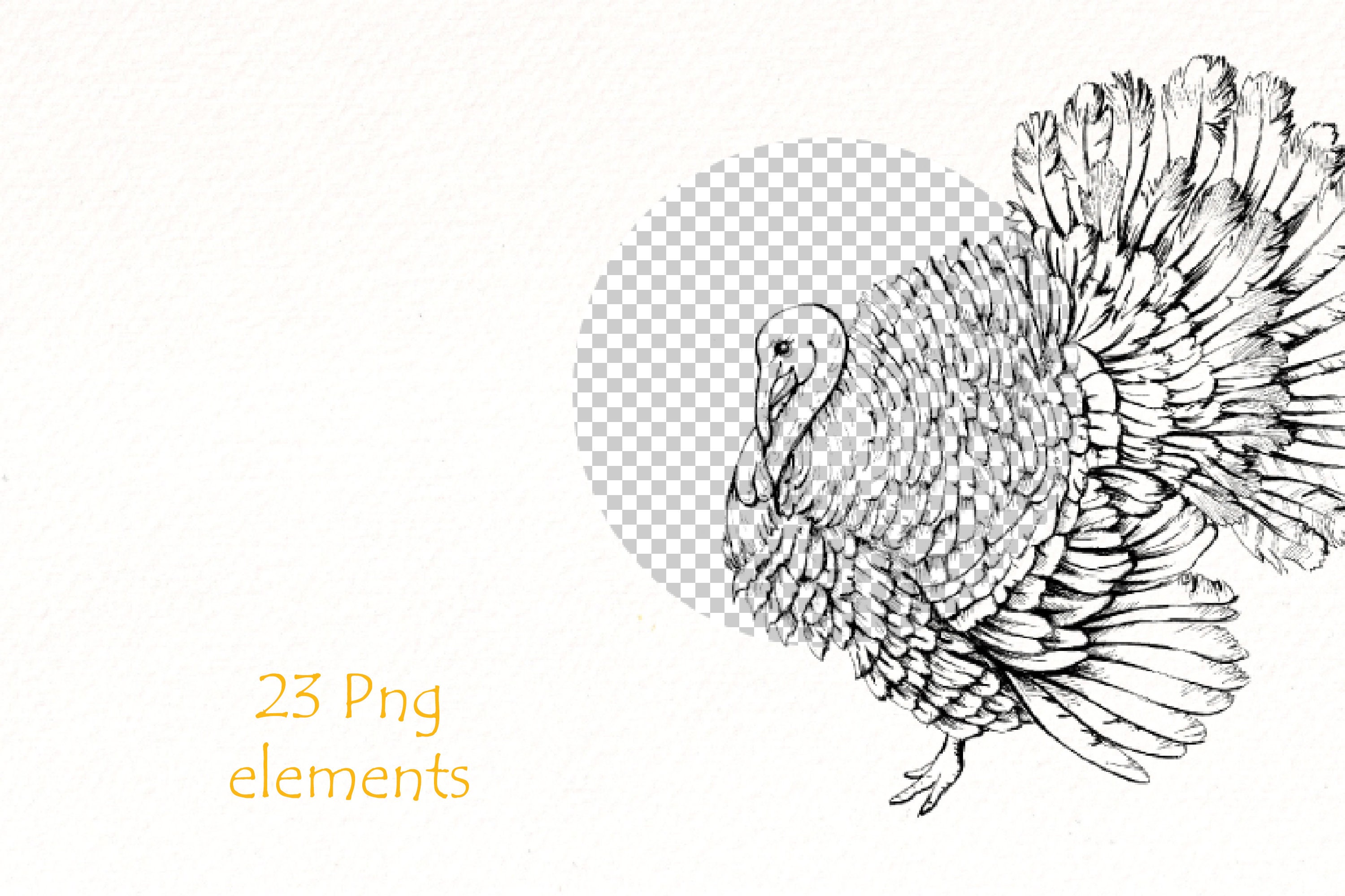 Thanksgiving Turkey Clipart: Fall Food Line Art (digital Download) - Etsy