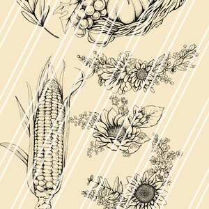 Thanksgiving Turkey Clipart: Fall Food Line Art (digital Download) - Etsy