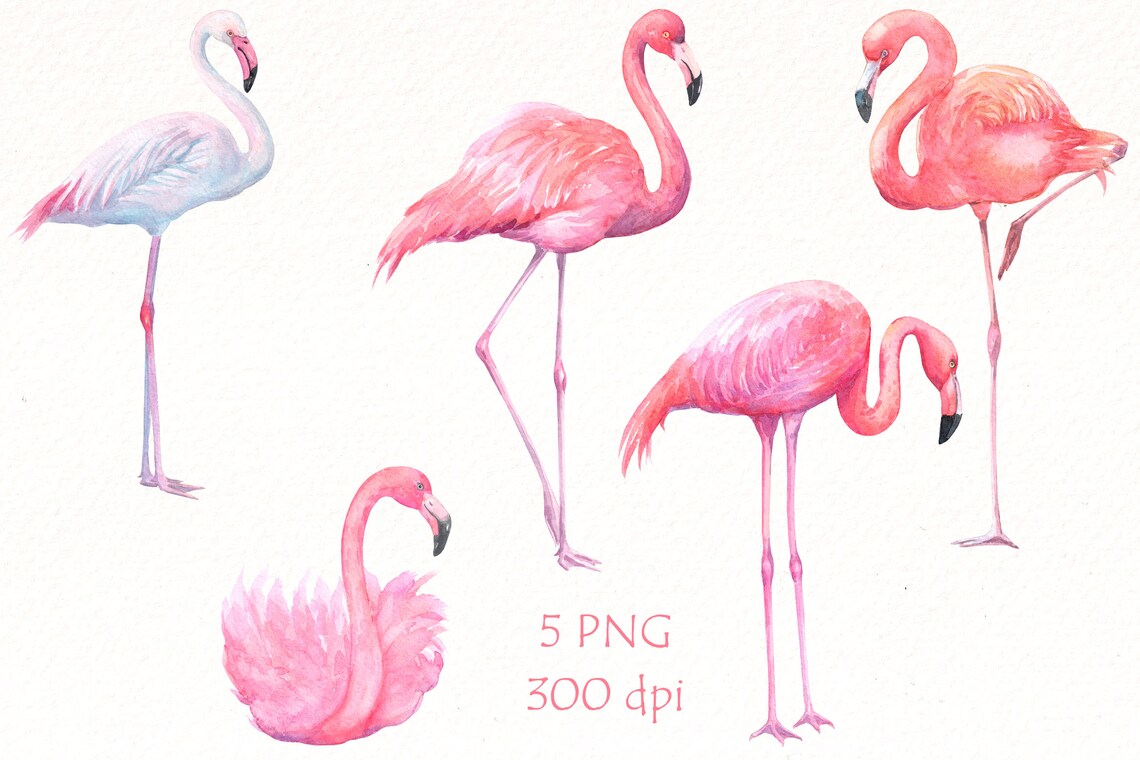Tropical Flamingo Watercolor Clipart, Summer Clip Art, Watercolor Set ...