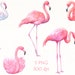 Tropical Flamingo Watercolor Clipart: Summer PNG Set - Etsy