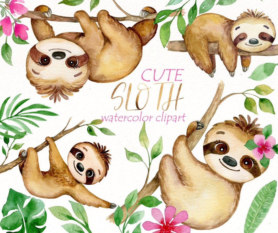 Cute Sloth Tropical Clipart, Watercolor Baby Animal Clipart, Safari ...