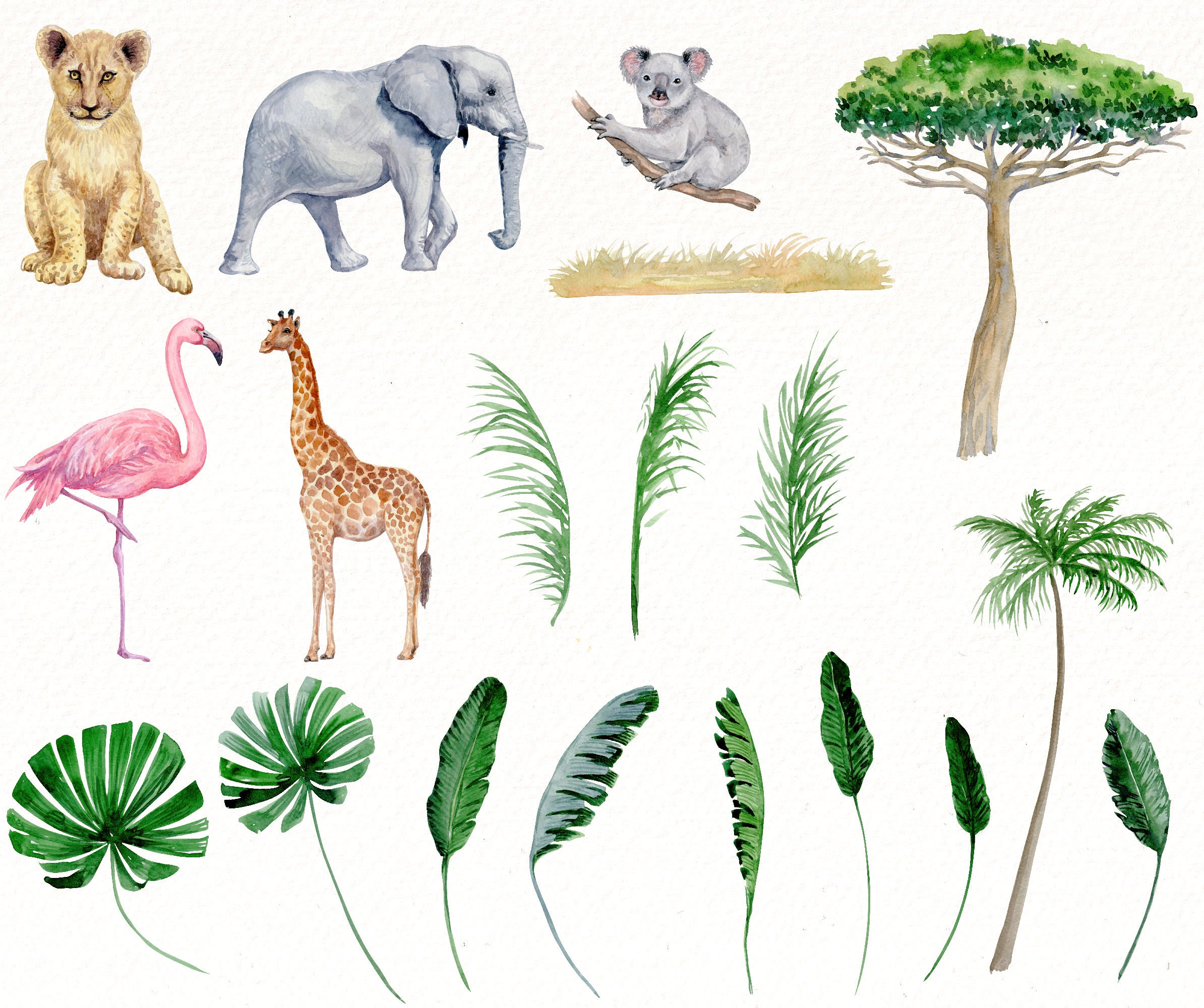 Safari Animals Watercolor Clipart, Cute Baby Animals Bundle PNG, Jungle ...