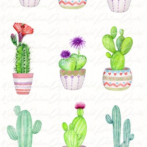 Watercolor Cactus Clipart, Tropical Desert Plants With Flowers and Pots ...