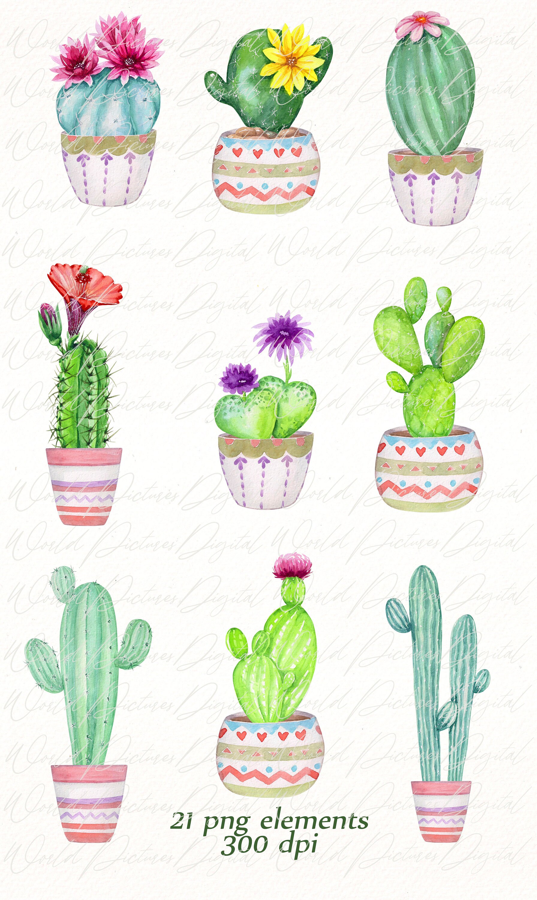 Watercolor Cactus Clipart, Tropical Desert Plants With Flowers and Pots ...