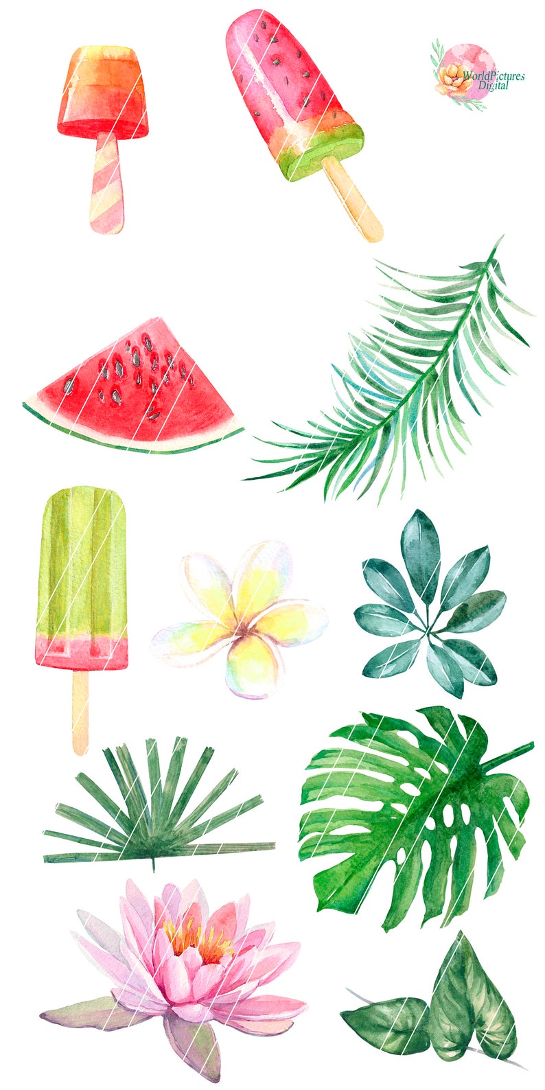 Tropical Watercolor Clipart , Summer Hand Painted Clip Art , Flamingo ...