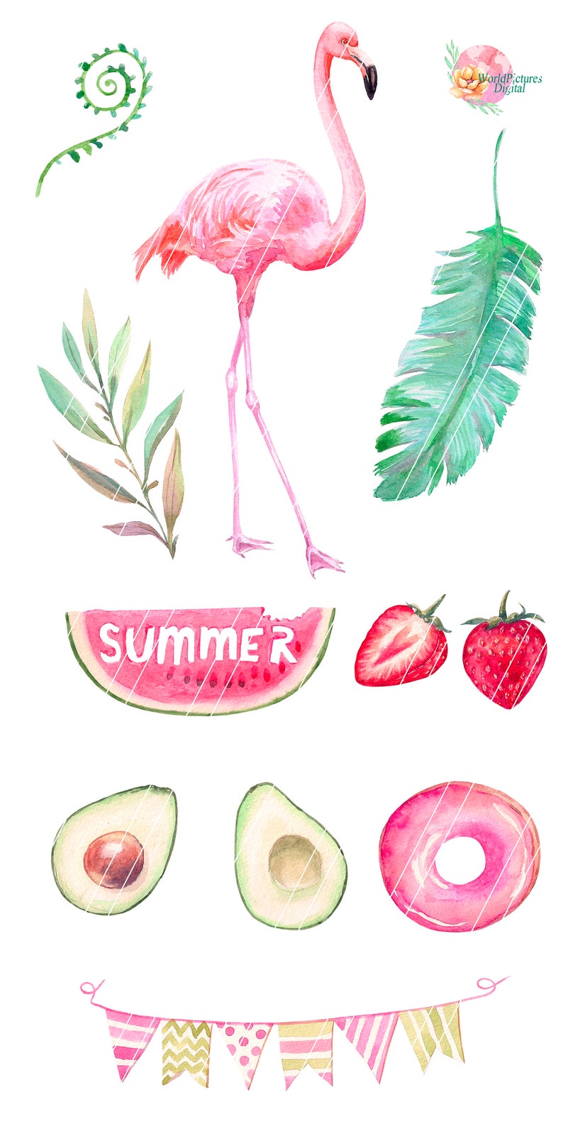 Tropical Watercolor Clipart , Summer Hand Painted Clip Art , Flamingo ...