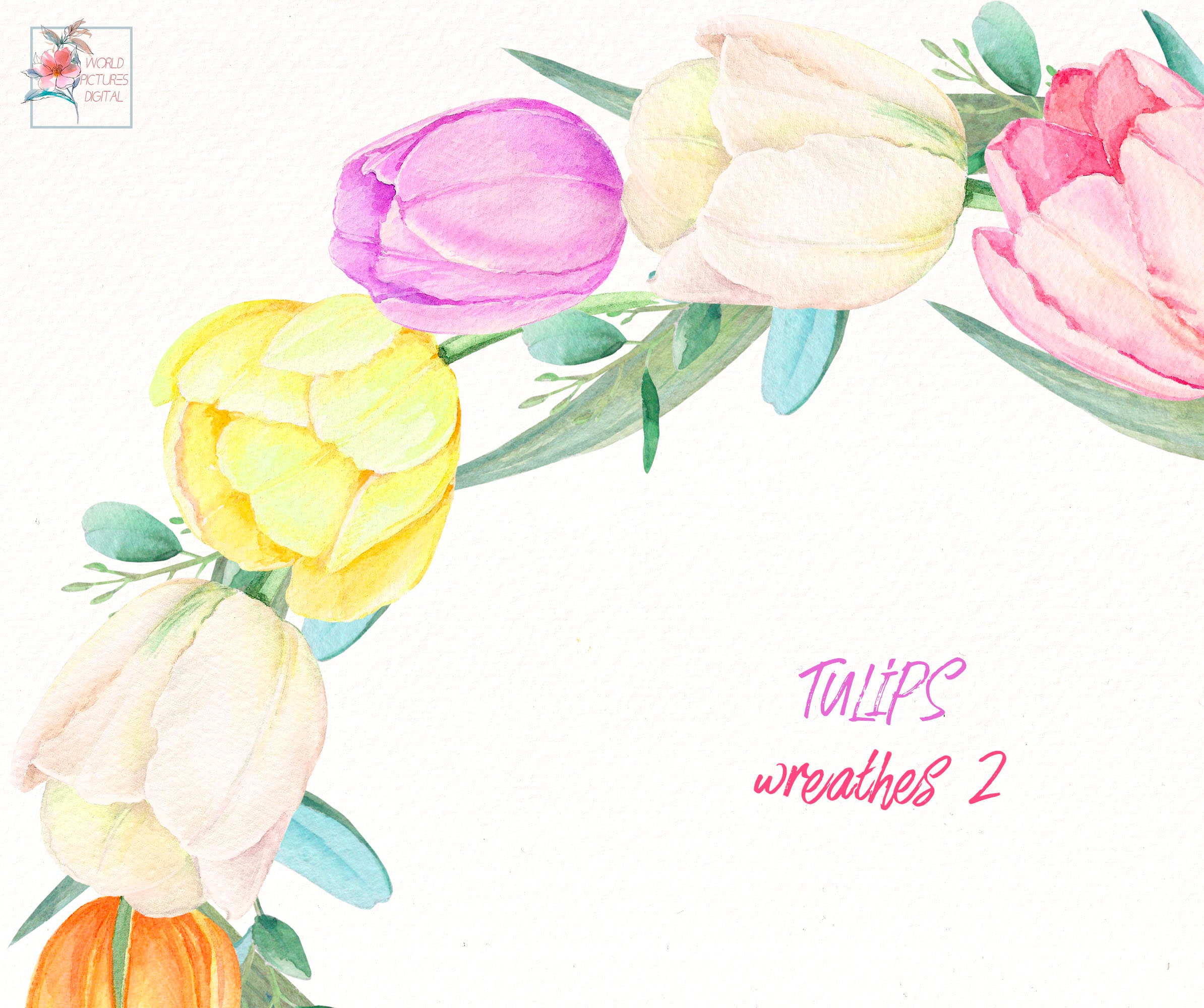 Watercolor Tulips Wreath Clipart , Easter Frame Hand Painted , Spring ...