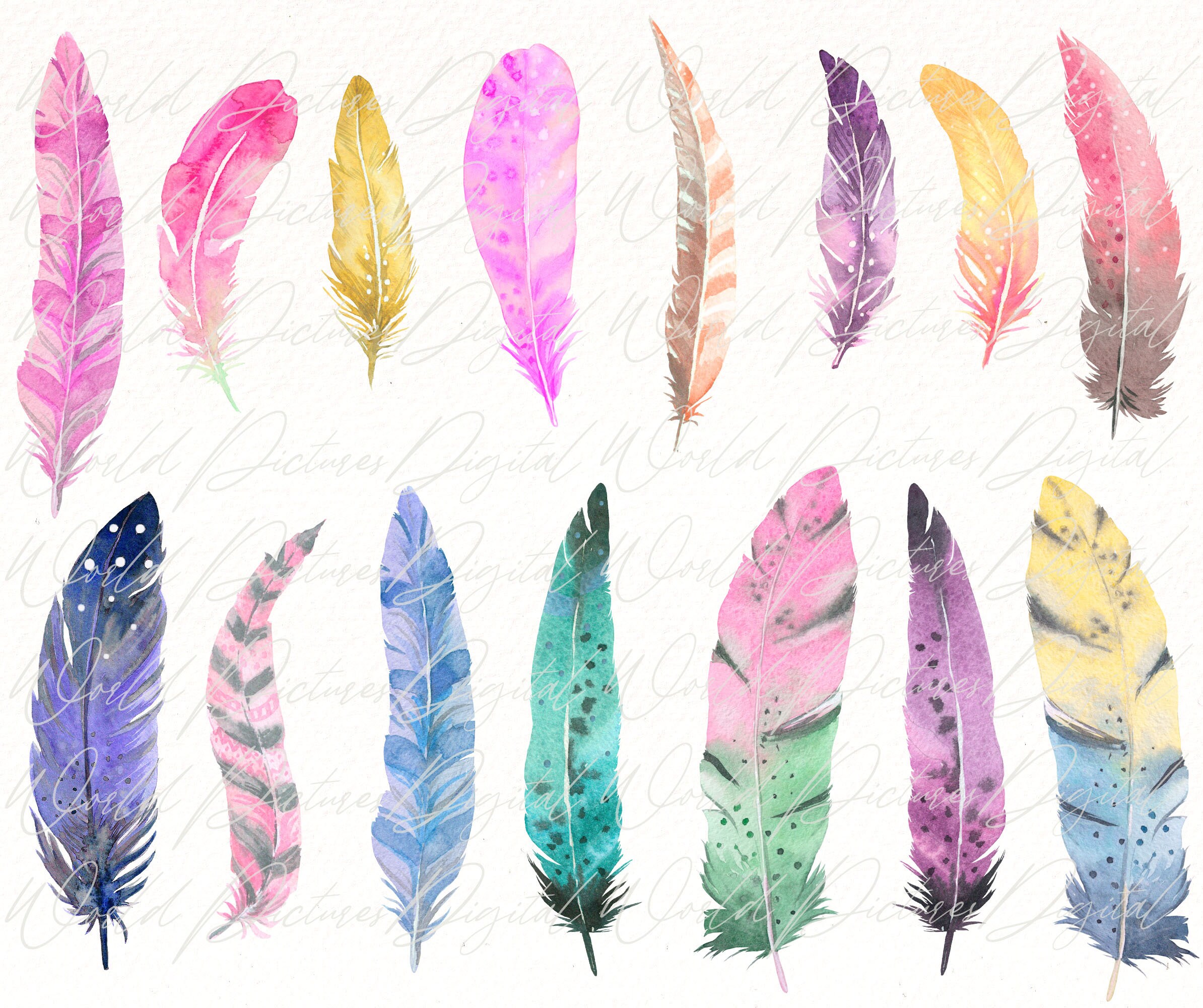 Boho Feather Clipart , Watercolor Bohemian Feathers Png Clip Art ...