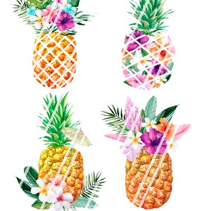 Pineapple Watercolor Clipart, Tropical Floral Png Elements, Summer ...