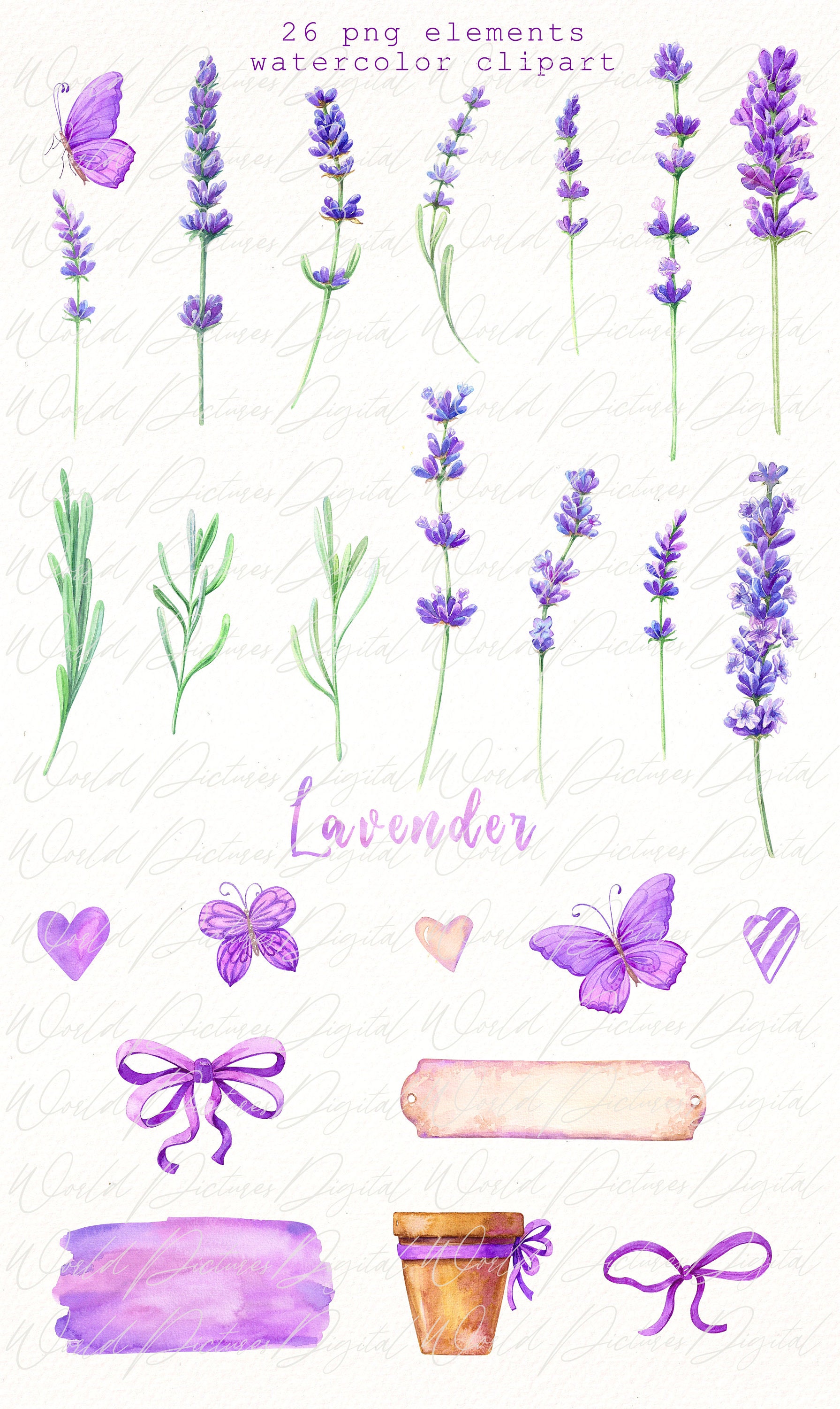 Watercolor Lavender Clipart: Rustic Floral PNG (digital Download) - Etsy