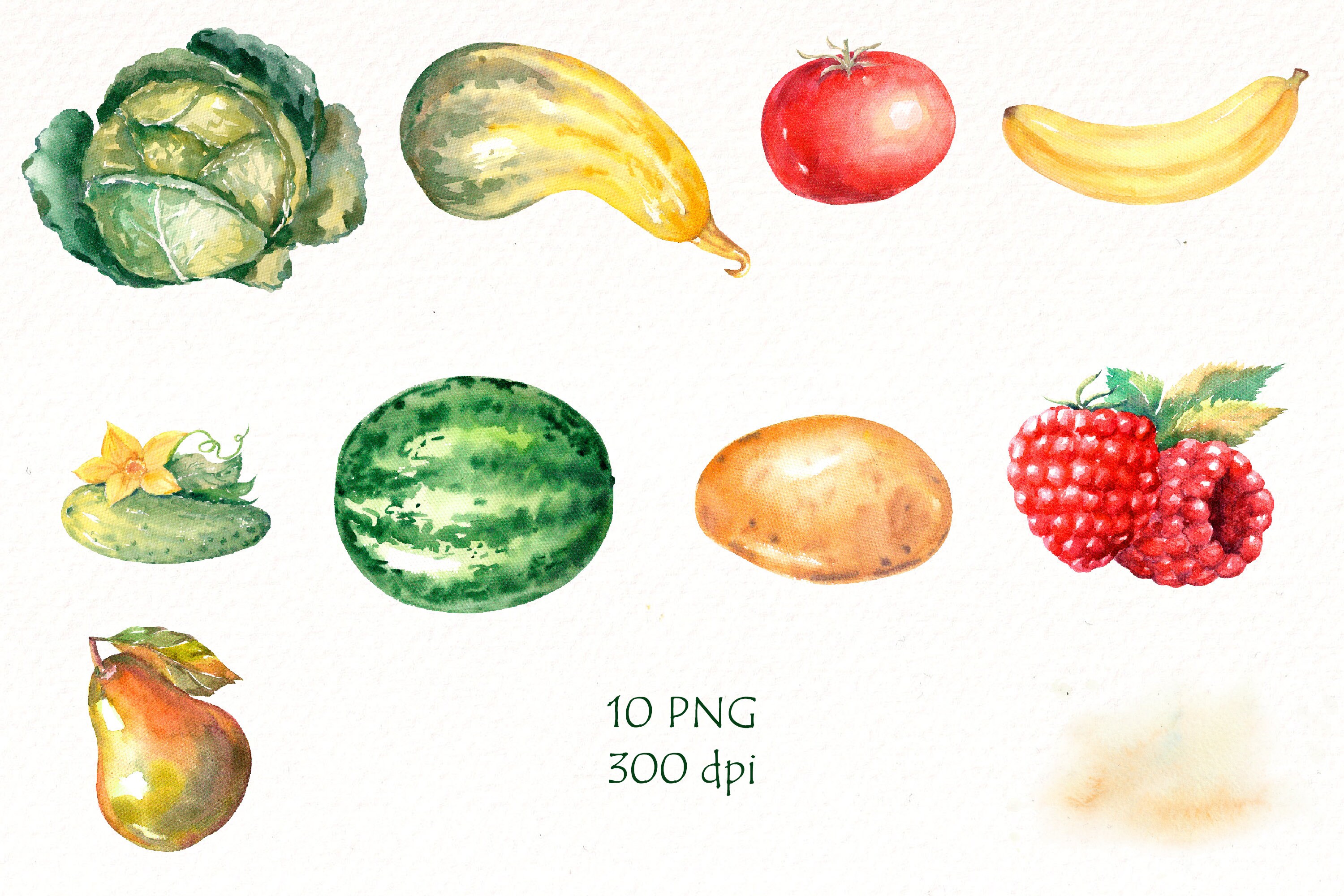 Watercolor Fruits and Vegetables Clipart, Thanksgiving Floral Elements ...