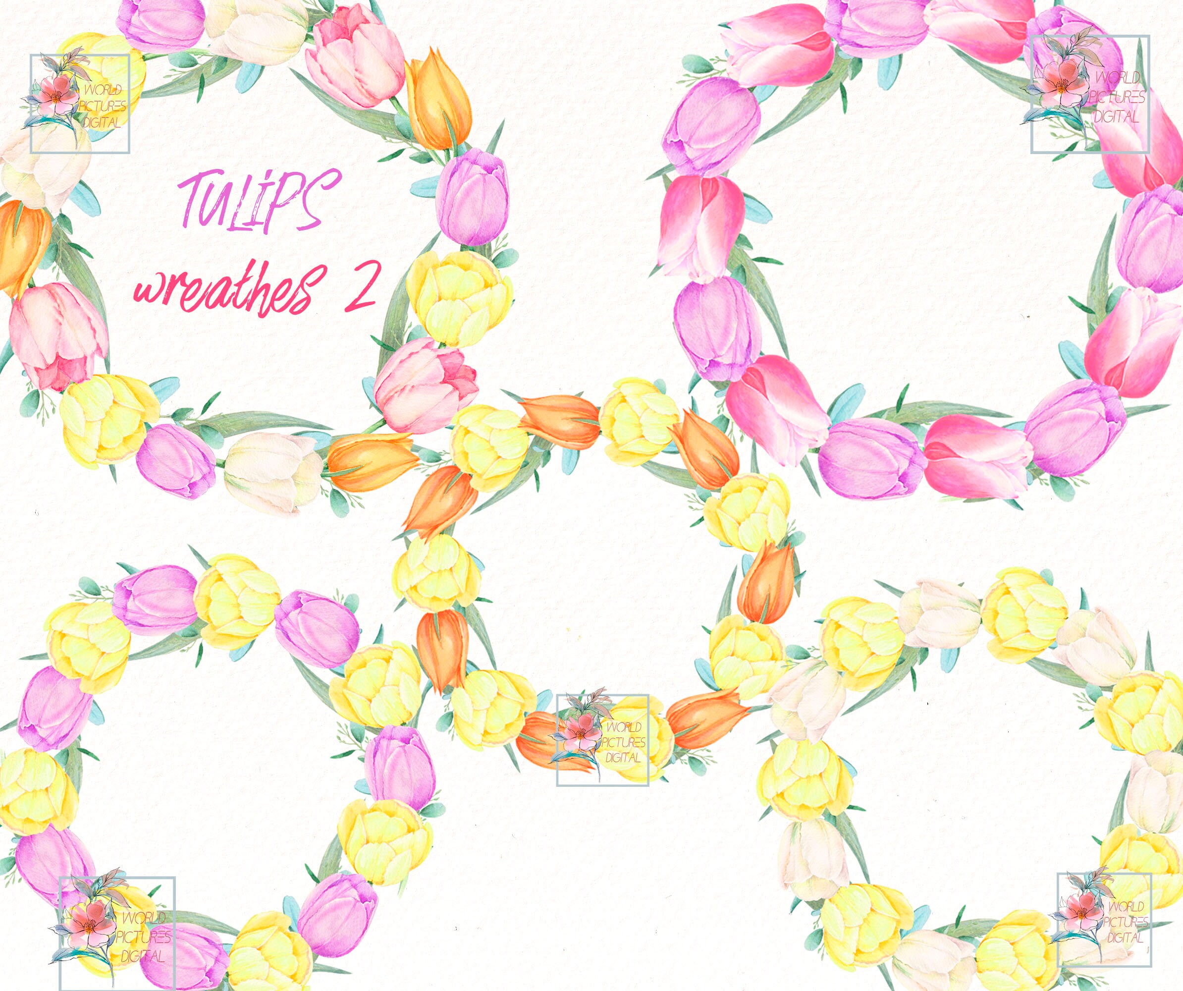Watercolor Tulips Wreath Clipart , Easter Frame Hand Painted , Spring ...