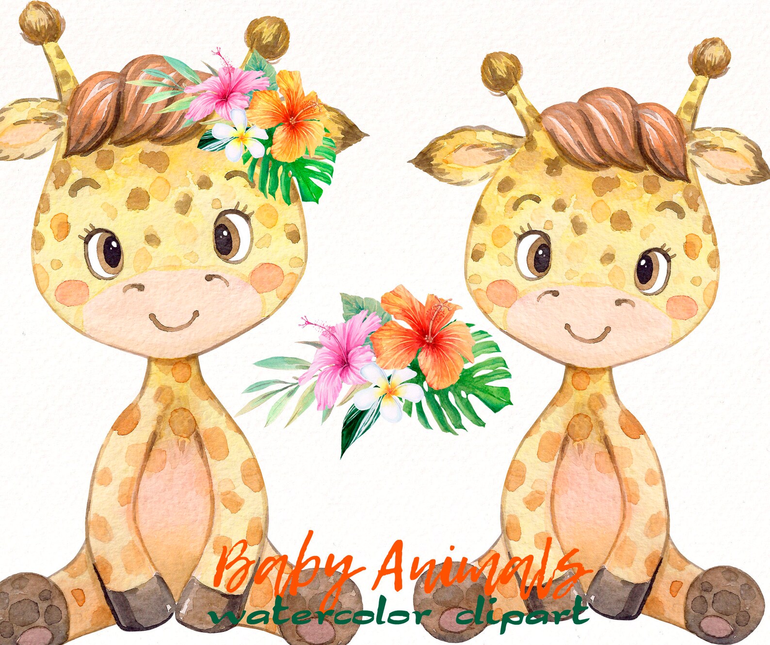 Safari Animals Watercolor Clipart, Tropical Animal Png, Baby Animal ...