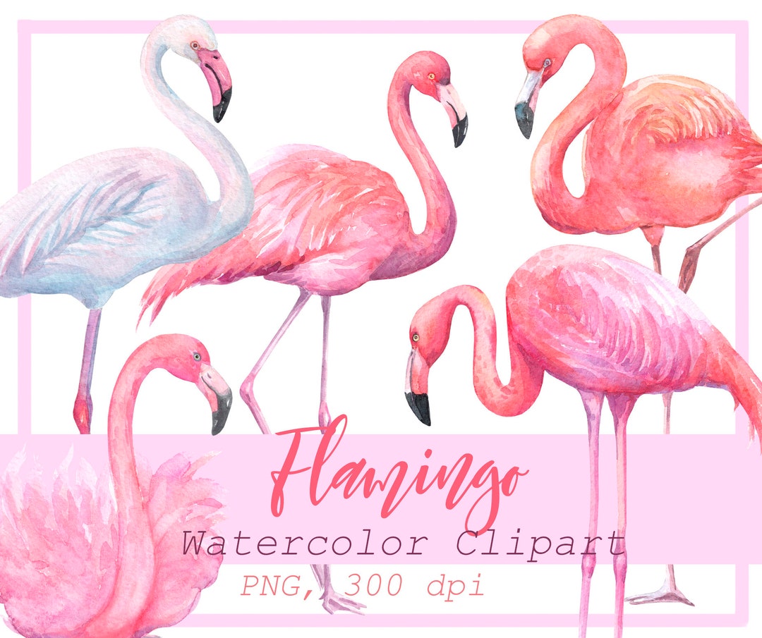 Tropical Flamingo Watercolor Clipart, Summer Clip Art, Watercolor Set ...