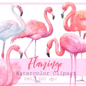Tropical Flamingo Watercolor Clipart: Summer PNG Set - Etsy