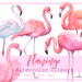 Tropical Flamingo Watercolor Clipart: Summer PNG Set - Etsy