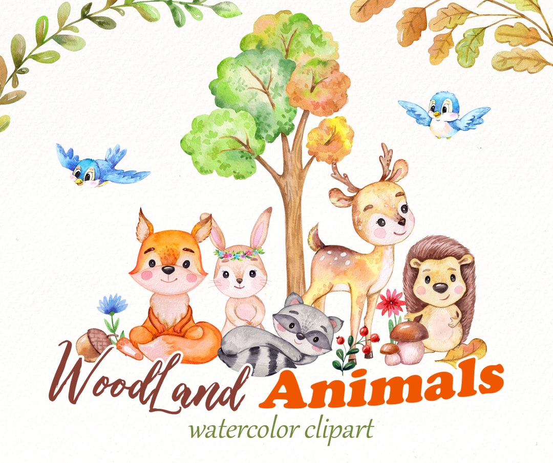 Woodland Animals Watercolor Clipart, Forest Animal Illustrations, Cute ...
