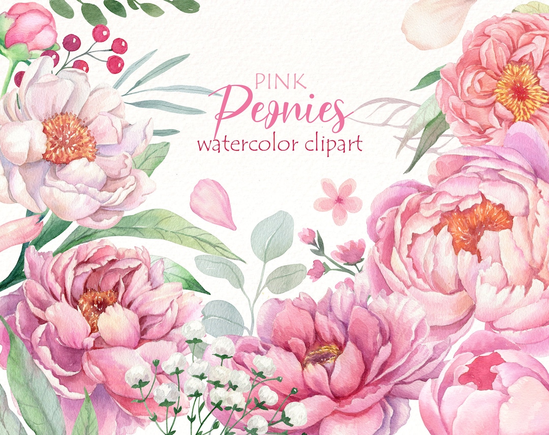 Watercolor Peonies Floral Clipart, Eucalyptus, Light Pink Flowers Png ...