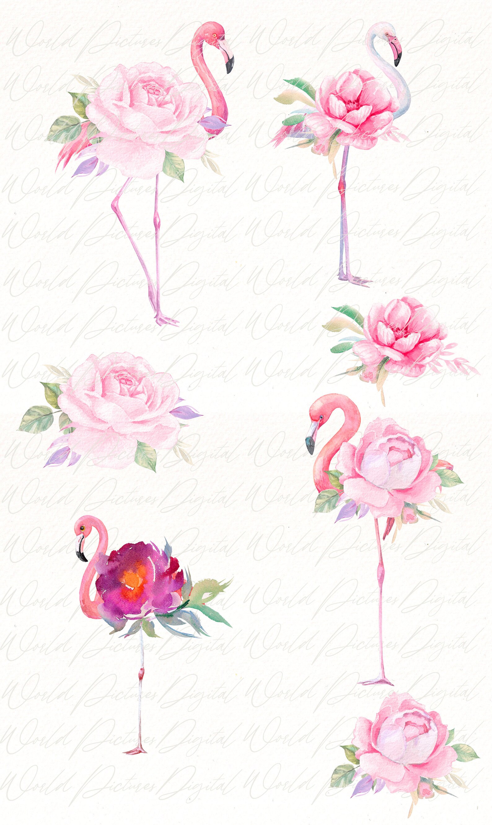 Watercolor Floral Flamingo Clipart. Tropical Set With Pink Bird and ...