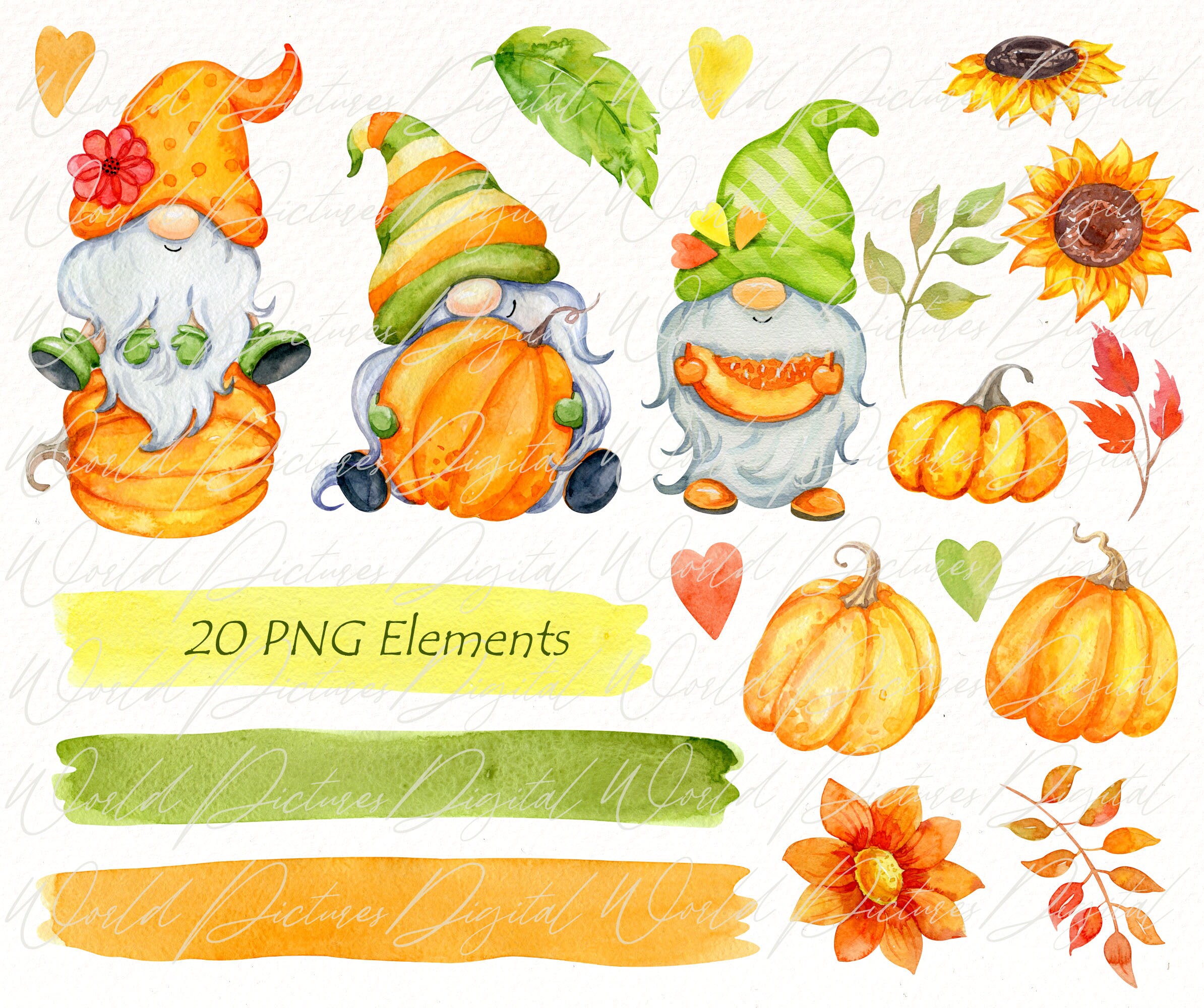 Watercolor Fall Gnomes Clipart, Thanksgiving Gnome PNG, Pumpkin Clip ...