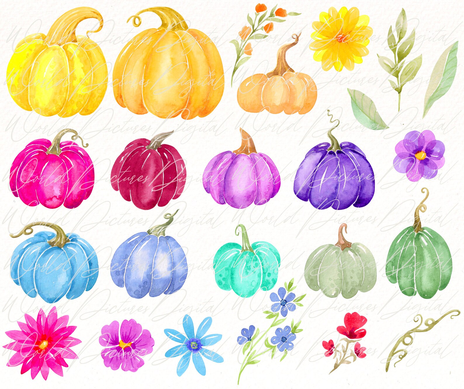 Watercolor Pumpkin Clipart, Fall Clip Art Png Files, Pink Pumpkins Hand ...