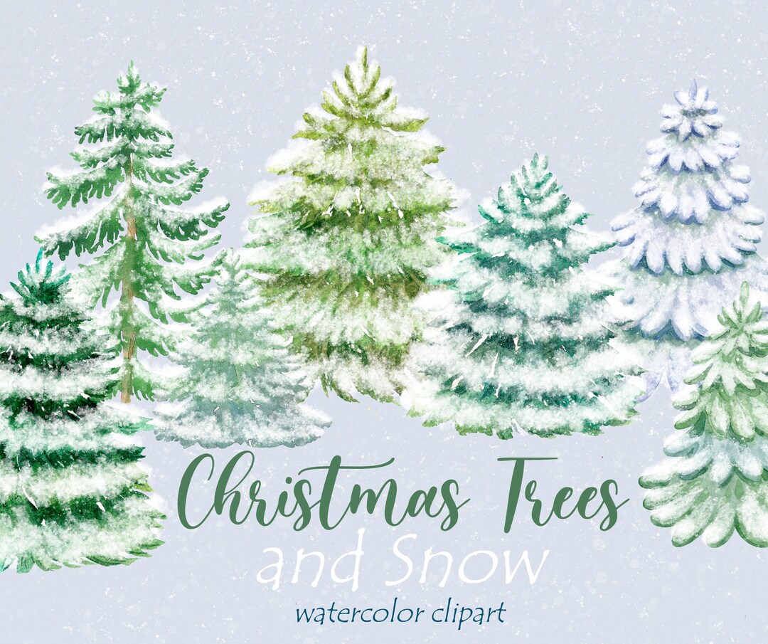 Watercolor Snowy Christmas Tree Clipart, Pine Tree PNG, Conifer Tree ...