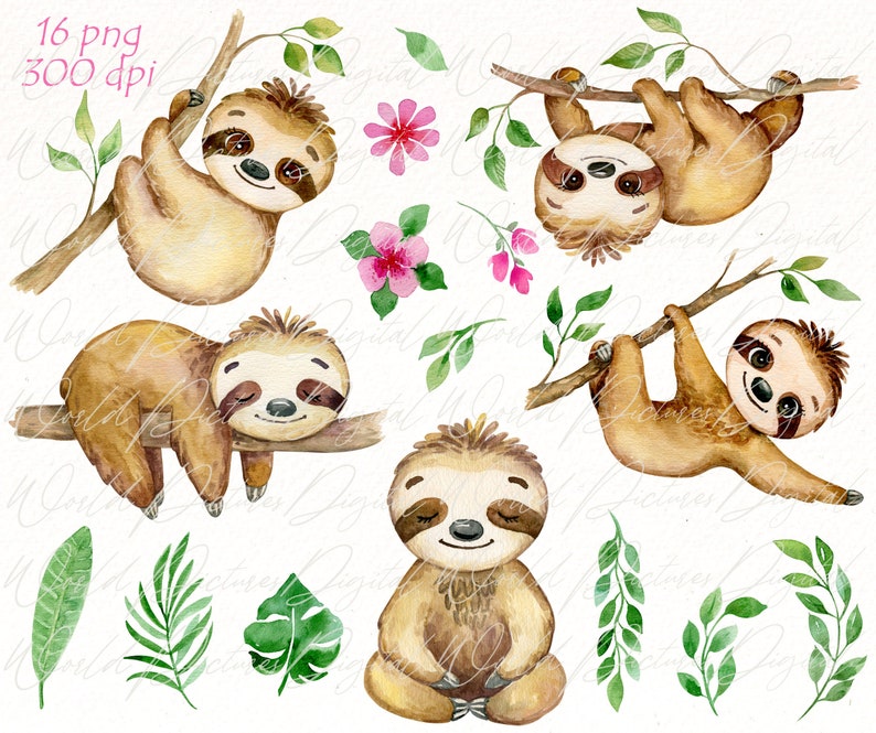 Cute Sloth Tropical Clipart, Watercolor Baby Animal Clipart, Safari ...