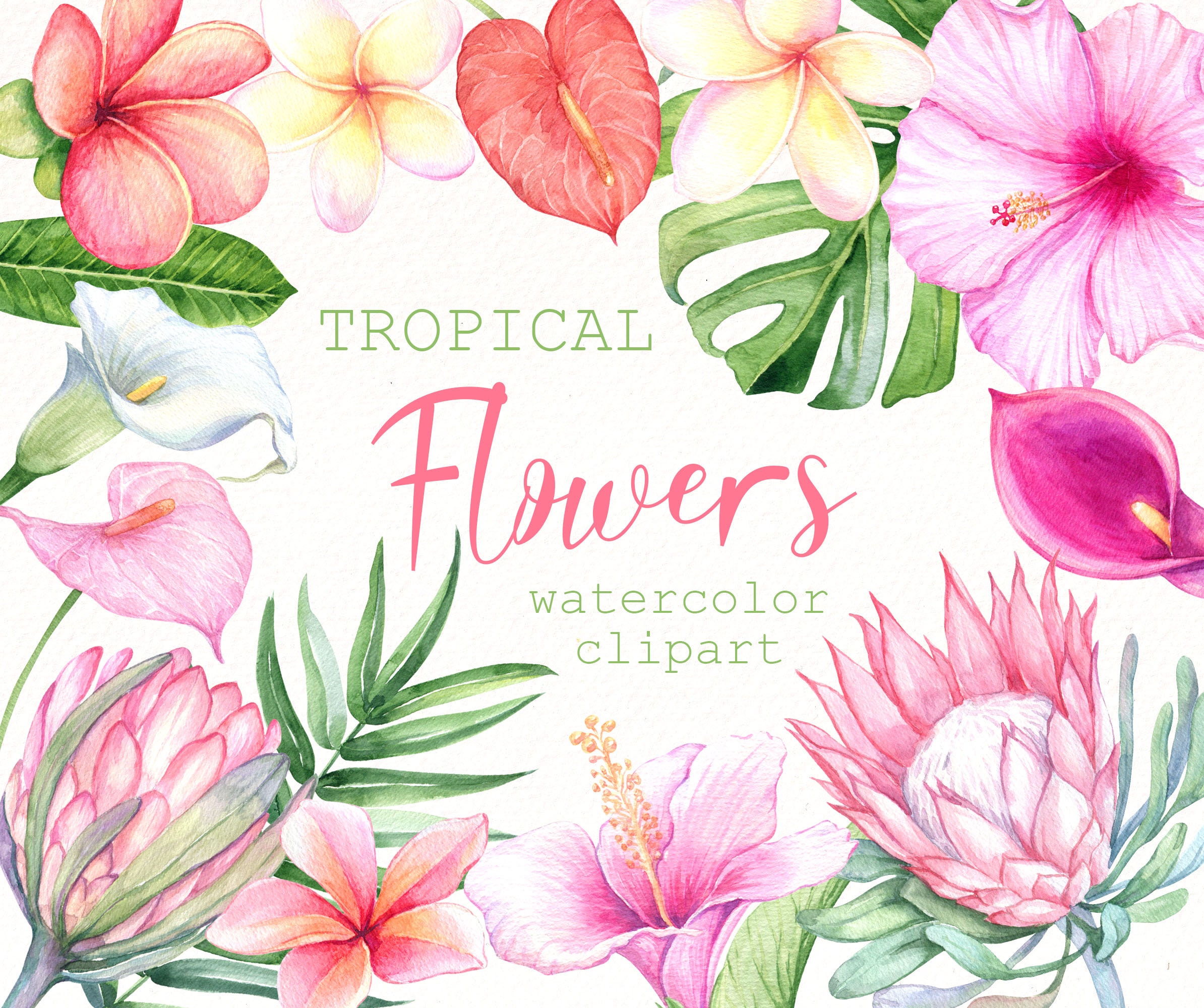 Watercolor Tropical Flowers Clipart , Hibiscus Clip Art , Exotic Flower ...