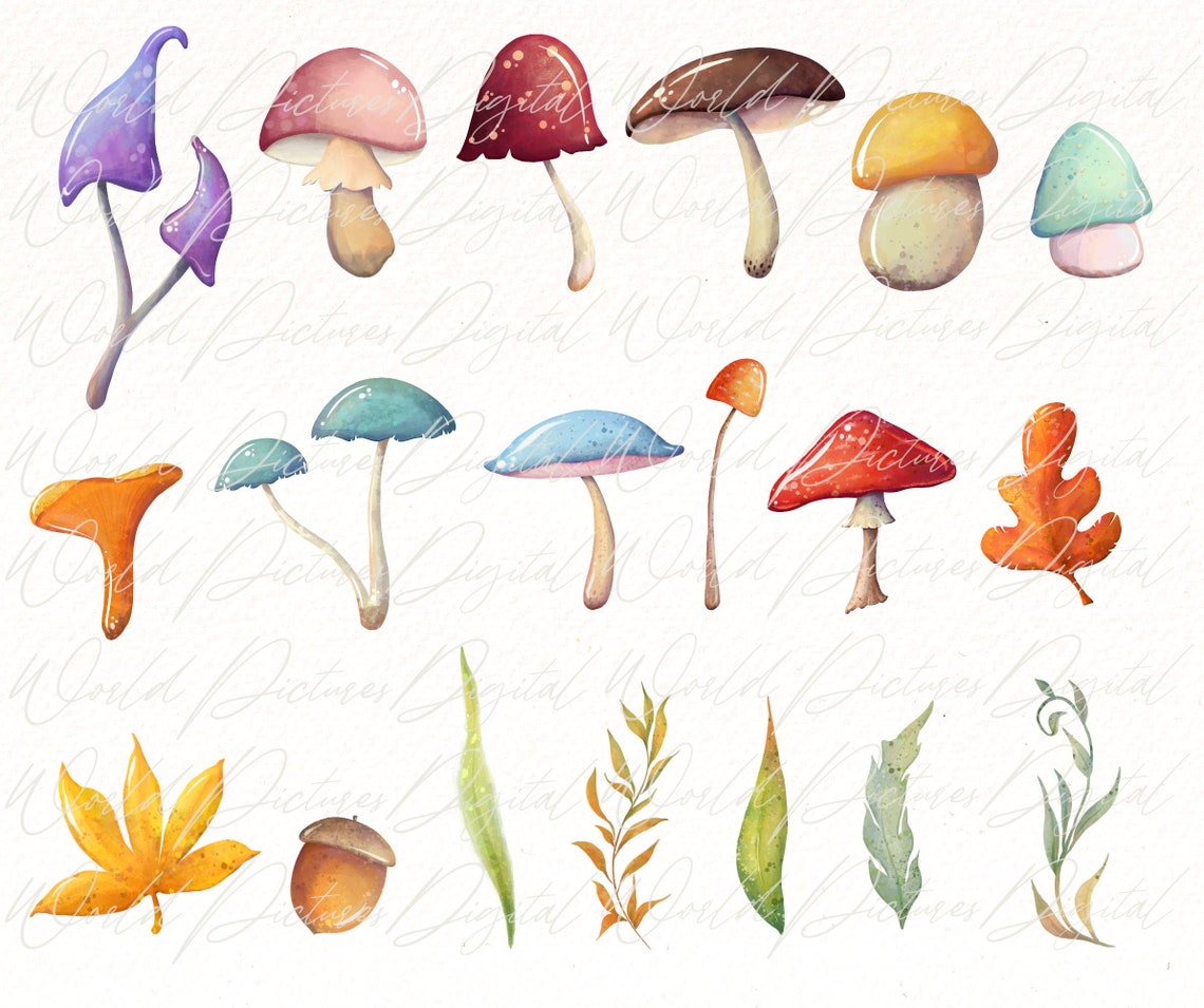 Mushroom Clipart, Watercolor Fall Png Clipart, Autumn Woodland Clip Art ...