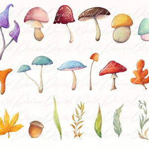 Mushroom Clipart, Watercolor Fall Png Clipart, Autumn Woodland Clip Art ...