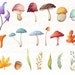 Mushroom Clipart, Watercolor Fall Png Clipart, Autumn Woodland Clip Art ...