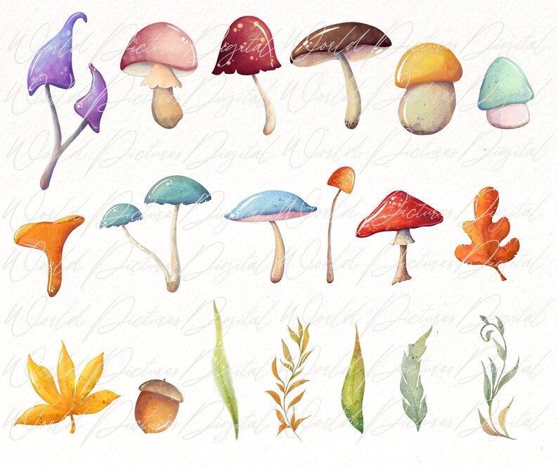 Mushroom Clipart, Watercolor Fall Png Clipart, Autumn Woodland Clip Art ...