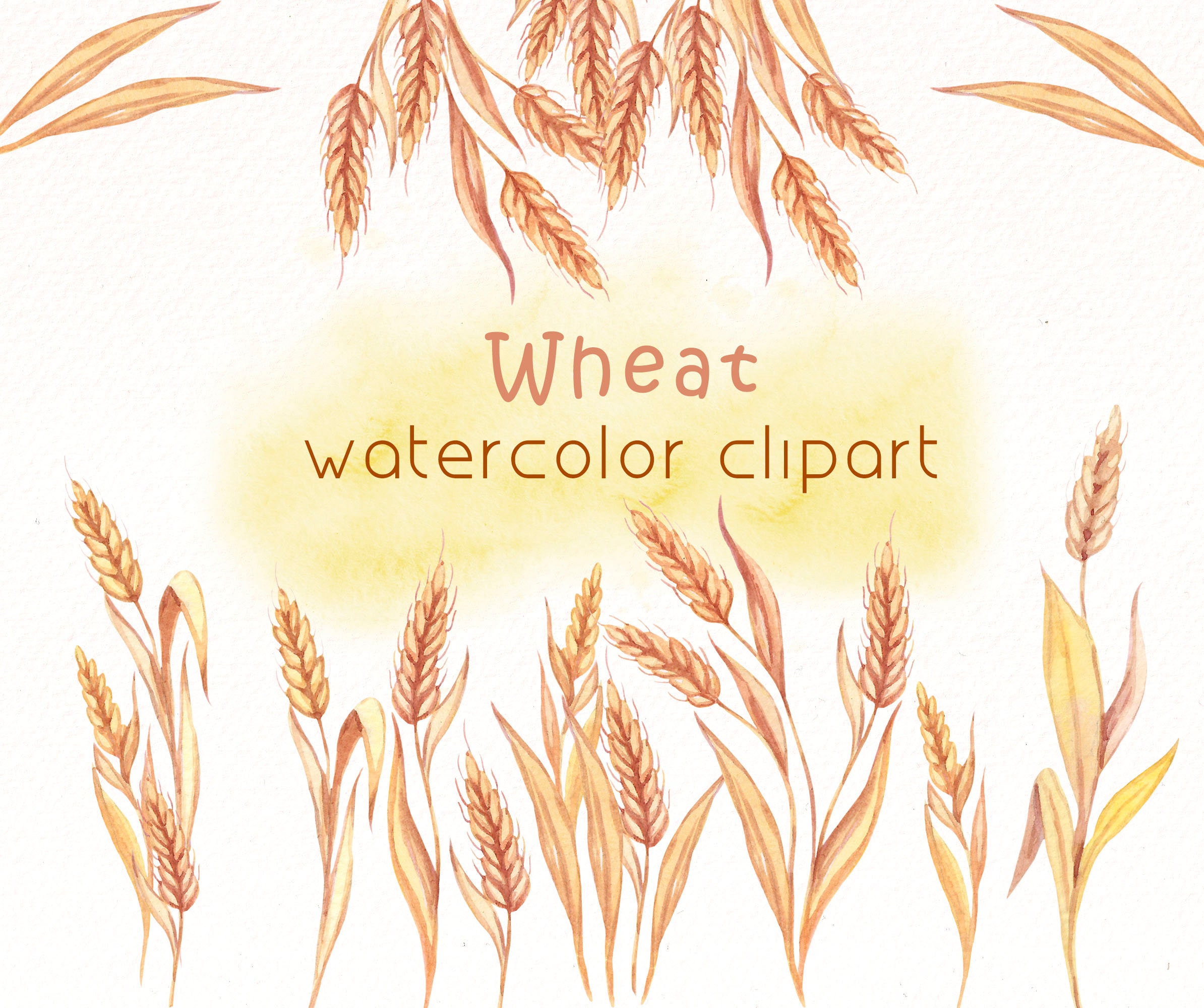 Watercolor Wheat Clipart , Bakery Clip Art , Baking Png Files ...