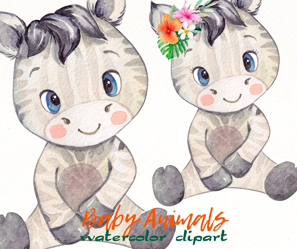 Safari Animals Watercolor Clipart, Tropical Animal Png, Baby Animal ...