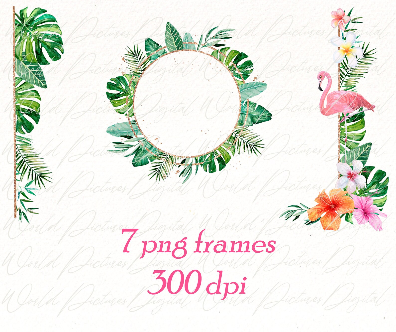 Tropical Wreath Watercolor Clipart , Tropic Frame Png , Kawaii Clip Art ...