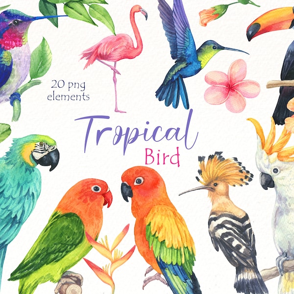 Birds of Paradise Clip Art - Etsy