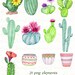 Watercolor Cactus Clipart, Tropical Desert Plants With Flowers and Pots ...