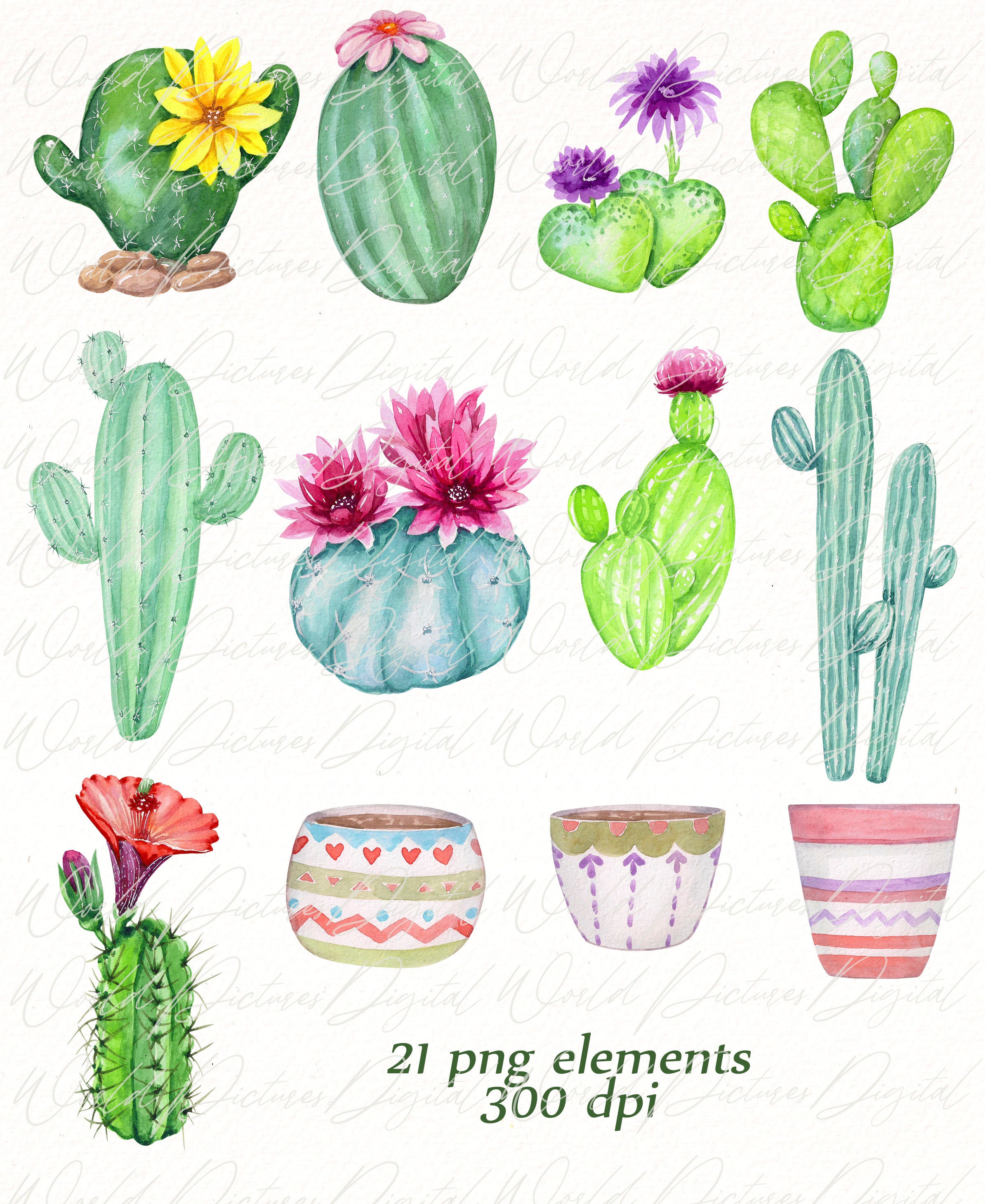 Watercolor Cactus Clipart, Tropical Desert Plants With Flowers and Pots ...