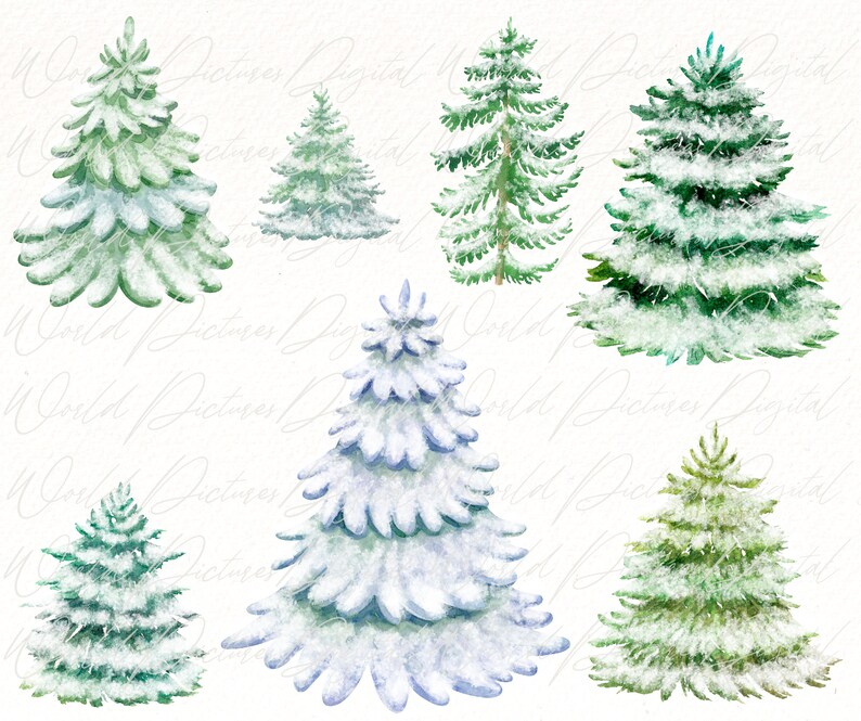 Watercolor Snowy Christmas Tree Clipart, Pine Tree PNG, Conifer Tree ...
