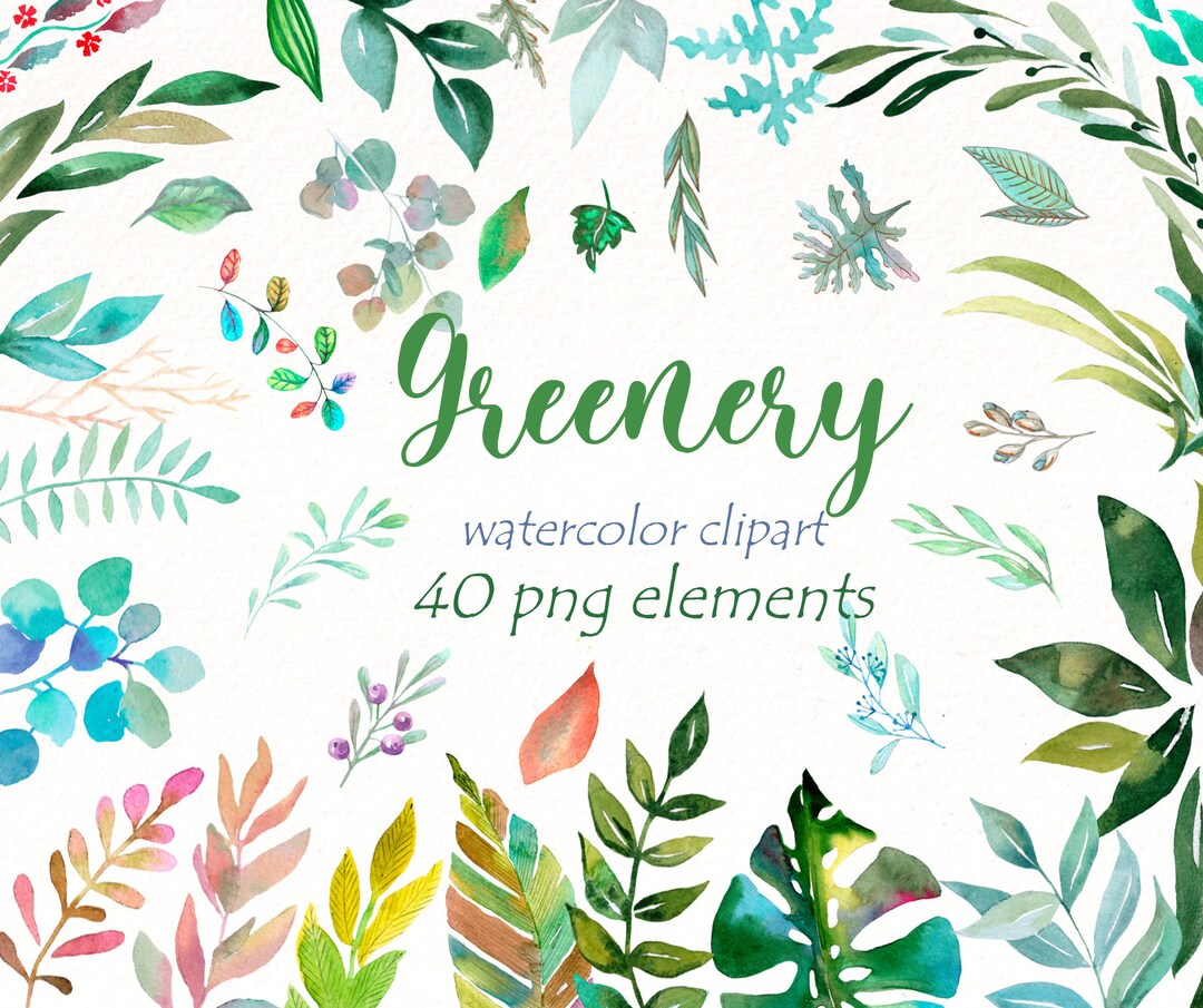Watercolor Greenery Clipart: 40 Green Leaf PNG Botanical Elements ...