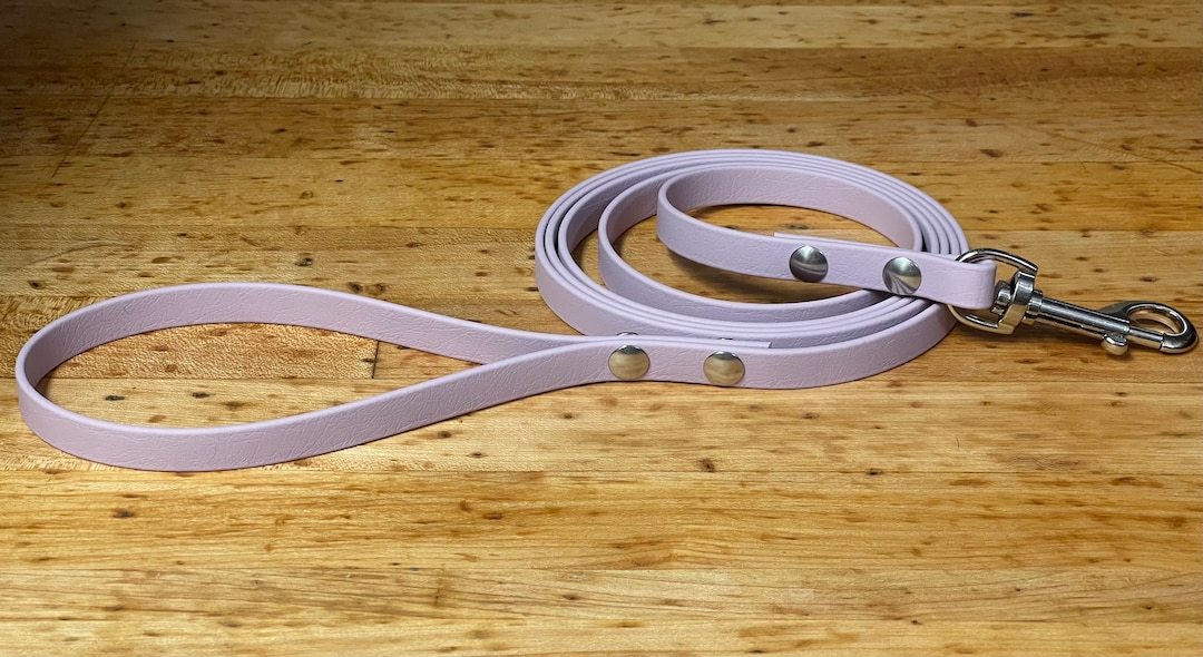 Custom Length 1/2 Biothane Leash SILVER HARDWARE - Etsy