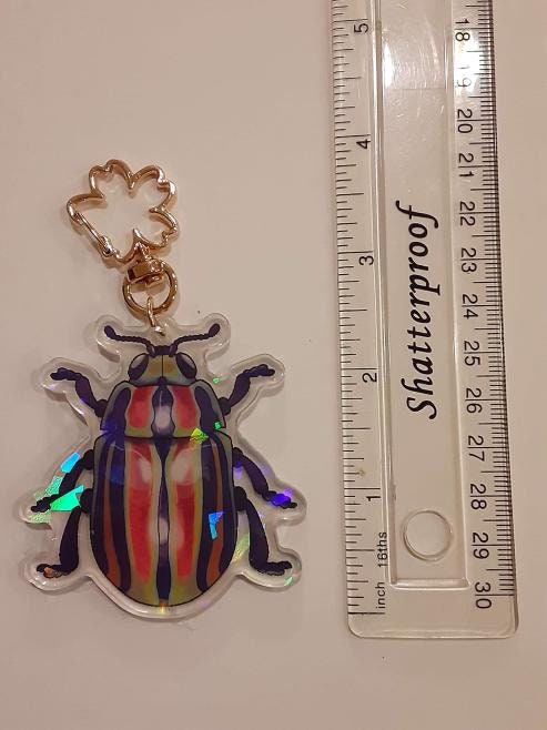 Rainbow Beetle Keychain - Etsy